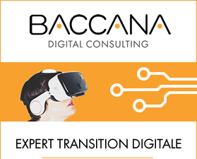 Expert Digital à Monaco - Baccana Digital Consulting
